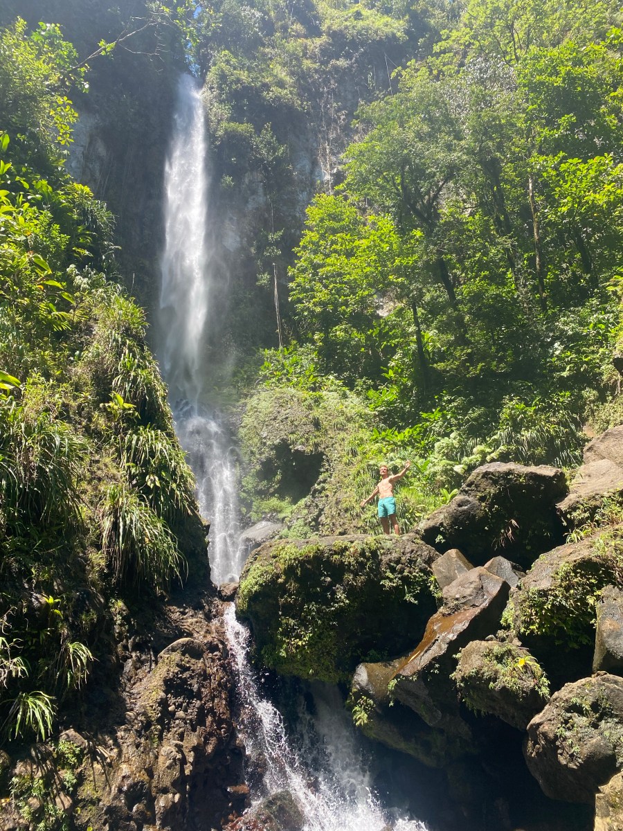 Middleham Falls: Earning a Waterfall Paradise – The Well-Traveled Fridge